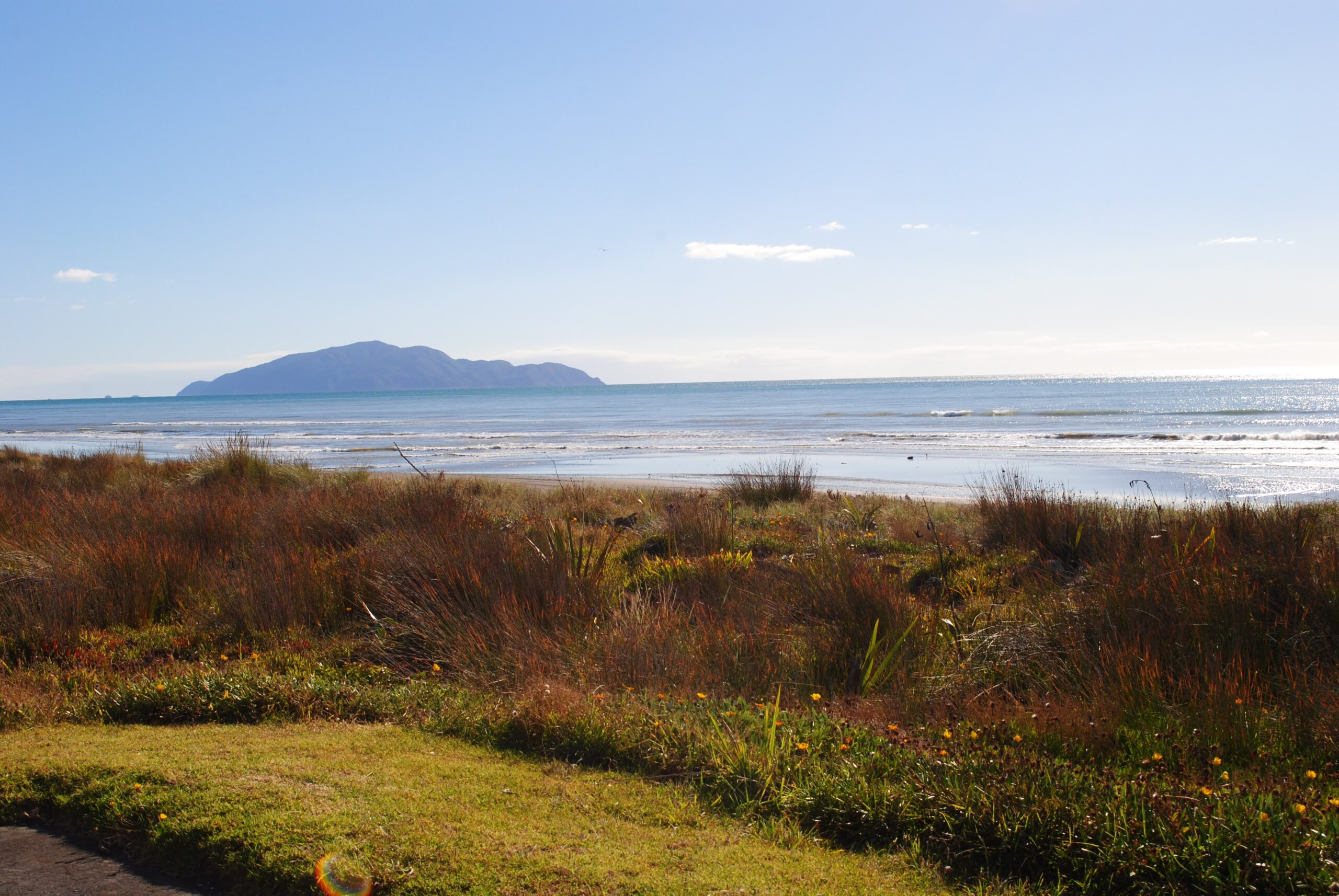 Rangatahi ora - Te Puna Oranga o Ōtaki